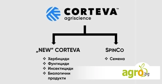 Corteva се разделя на две независими компании – „New Corteva“ и „SpinCo ...